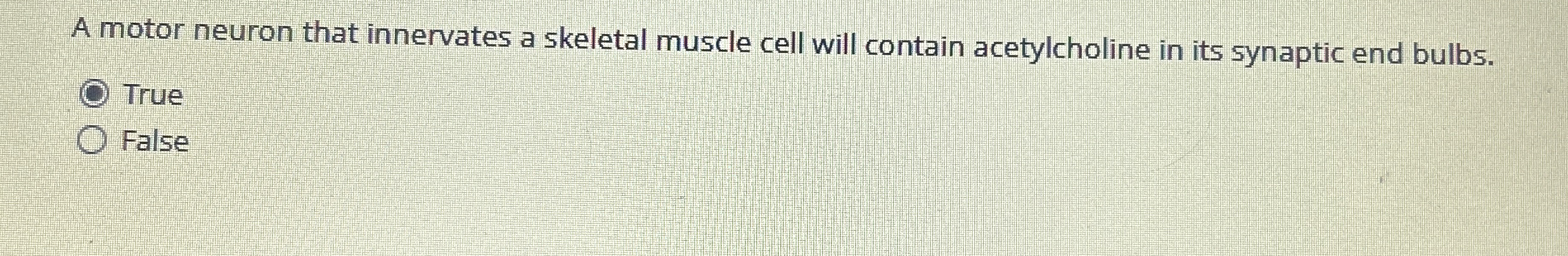 Solved A motor neuron that innervates a skeletal muscle cell | Chegg.com