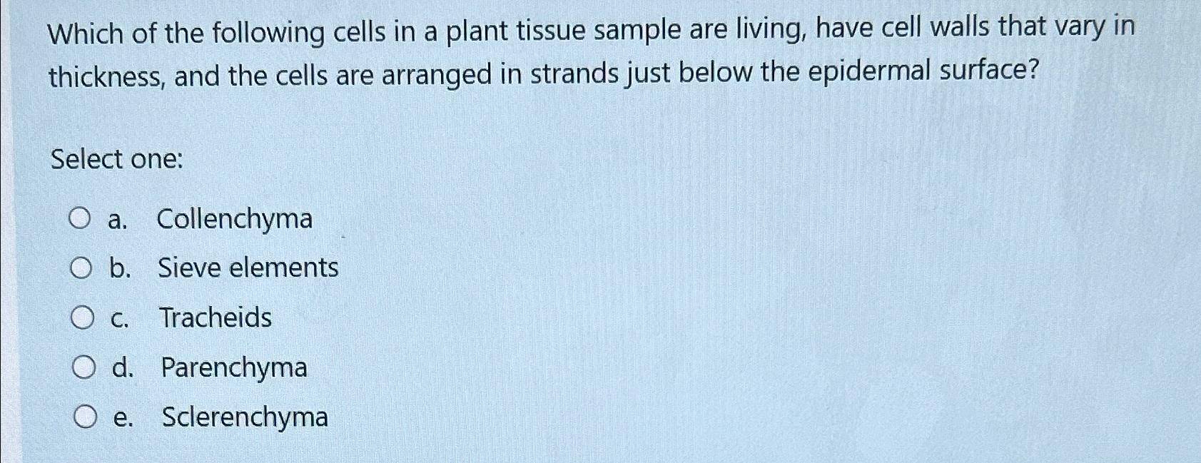 Solved Which of the following cells in a plant tissue sample | Chegg.com