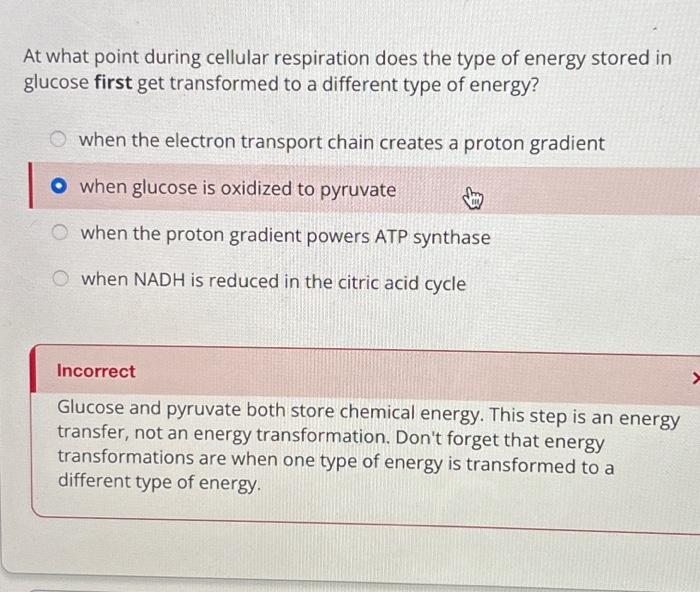 Solved At what point during cellular respiration does the | Chegg.com