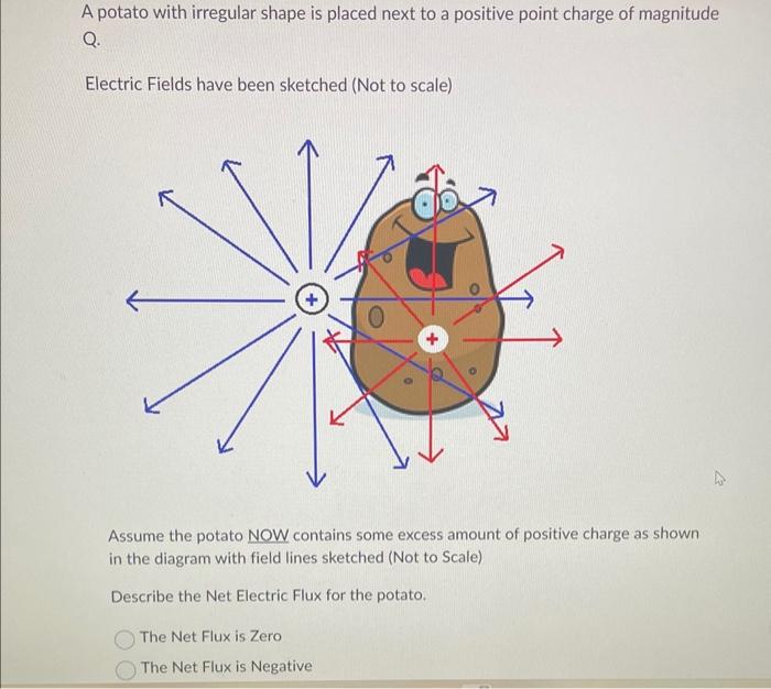 Solved A potato with irregular shape is placed next to a | Chegg.com
