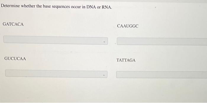 Solved Determine whether the base sequences occur in DNA or | Chegg.com