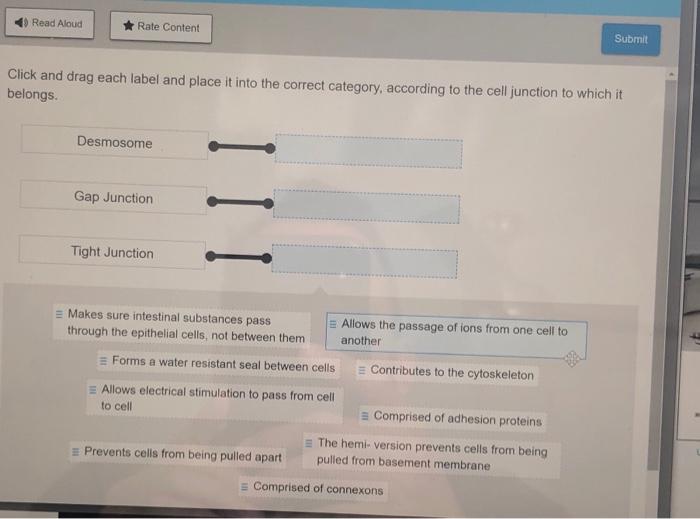 Solved Read Aloud Rate Content Submit Click and drag each | Chegg.com