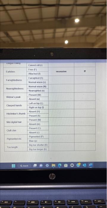 Solved I need this entire lab completed ive attached all | Chegg.com