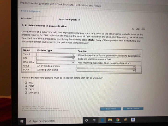 Solved Pre-lecture Assignment: Ch11 DNA Structure, | Chegg.com