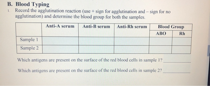 Solved B. Blood Typing 1. Record the agglutination reaction | Chegg.com