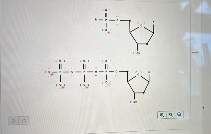 Solved Nucleotides add to the 3′ end of a growing DNA chain | Chegg.com