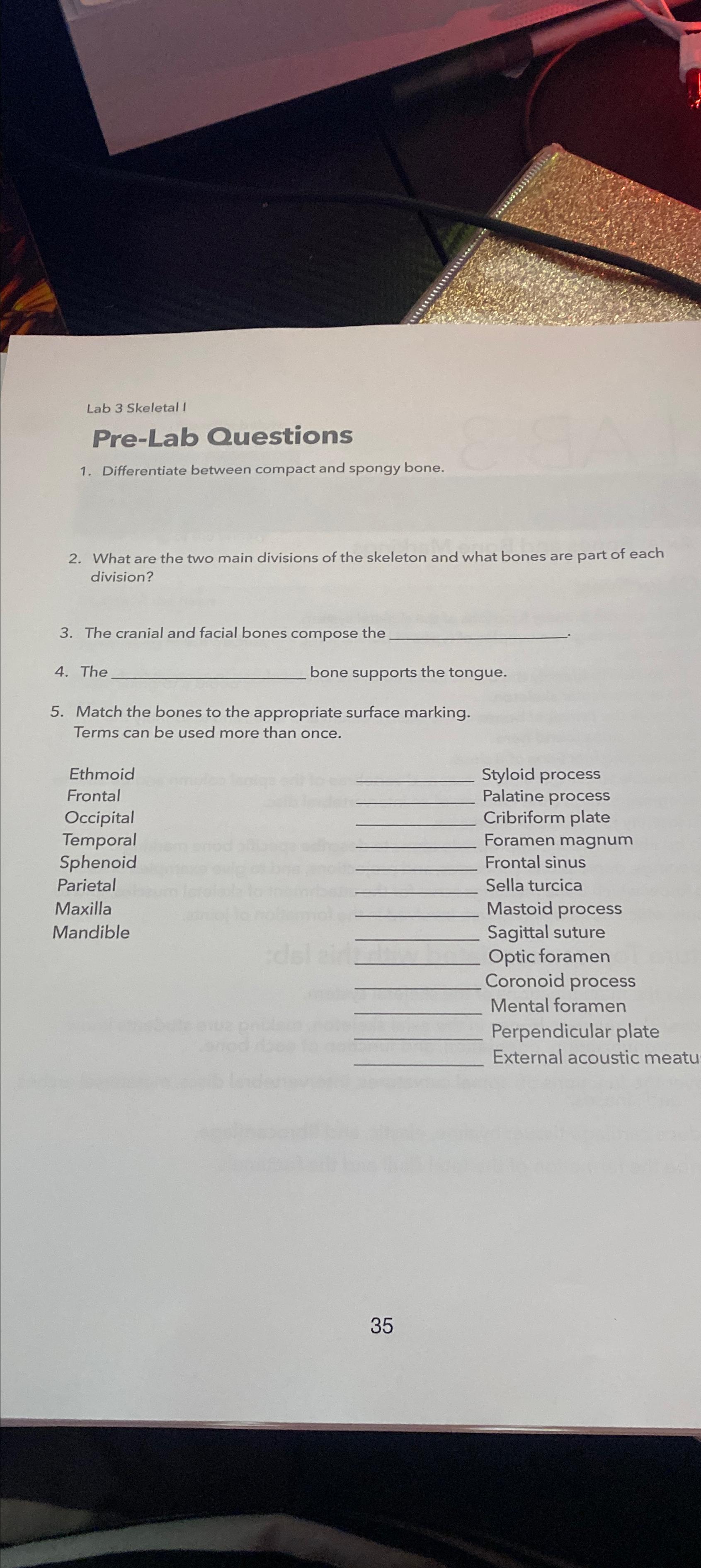 Solved Lab 3 ﻿Skeletal IPre-Lab QuestionsDifferentiate | Chegg.com