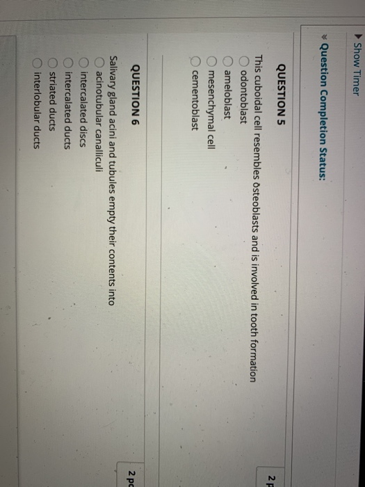 Solved Show Timer Question Completion Status: QUESTION 5 21 | Chegg.com