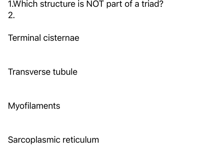 Solved 1.Which structure is NOT part of a triad? 2. Terminal | Chegg.com