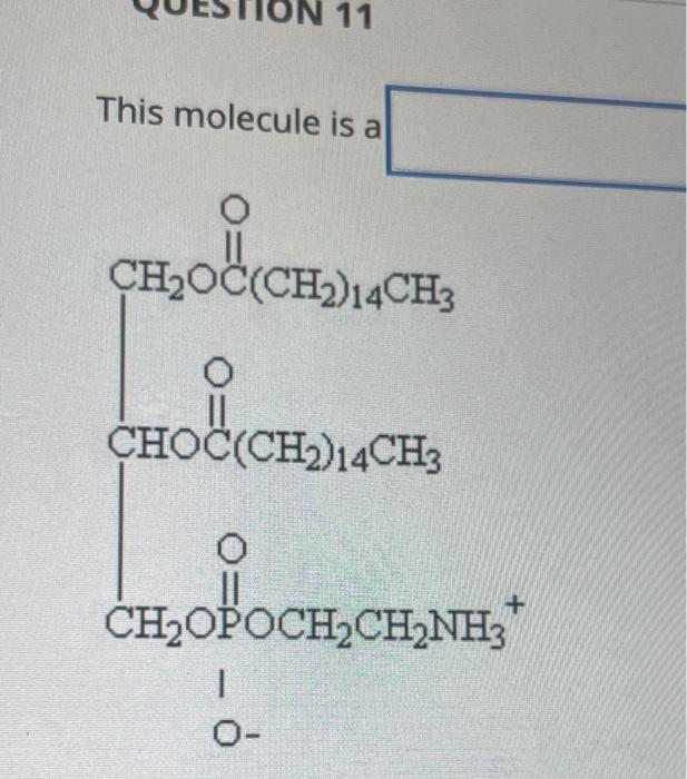 Solved 11 This molecule is a O CH2OC(CH2) 14CH3 ( CHOC(CH2) | Chegg.com