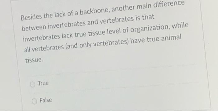 Solved Besides the lack of a backbone, another main | Chegg.com