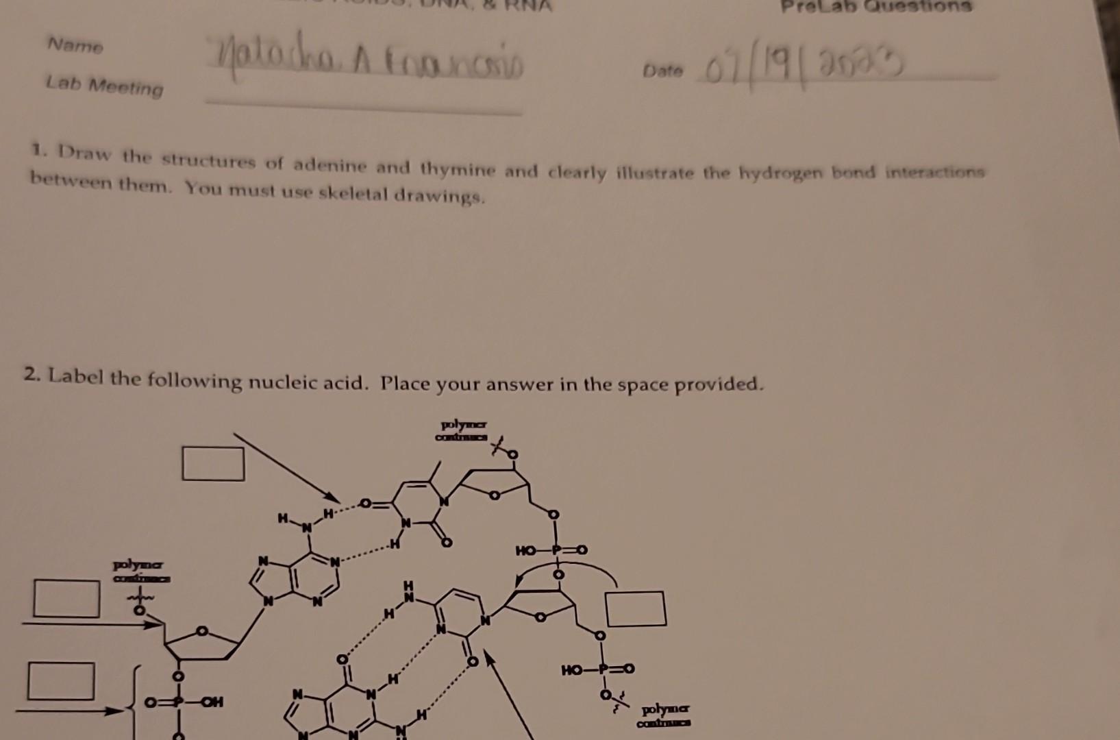 Solved 1. Draw the structures of adenine and thymine and | Chegg.com