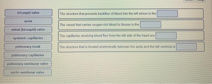 Solved superior vena cava The carries oxygen-poor venous | Chegg.com