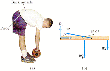 Solved A person bending forward to lift a load "with his | Chegg.com