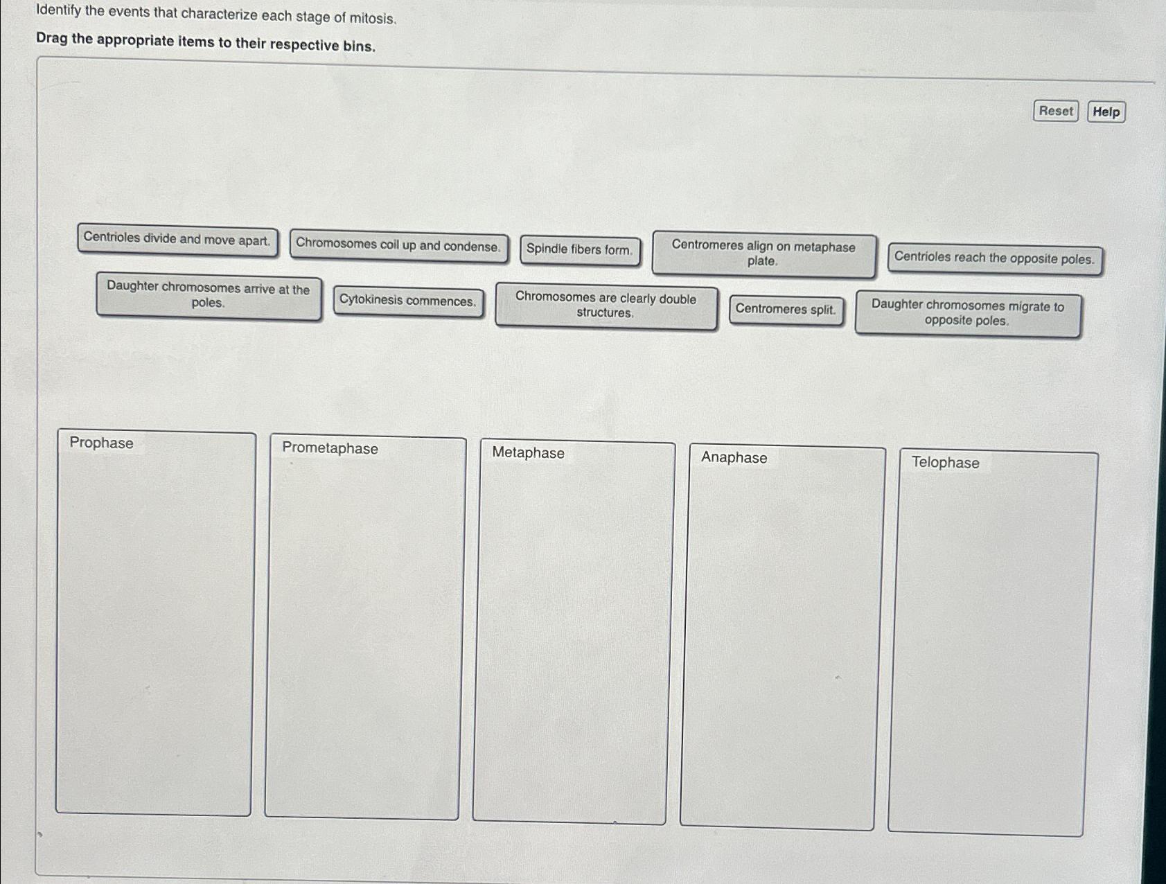 Solved Identify the events that characterize each stage of | Chegg.com