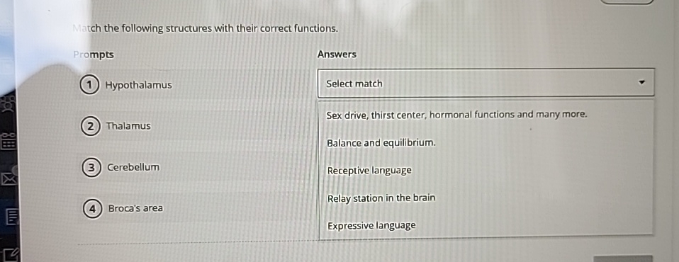 Solved Match the following structures with their correct | Chegg.com