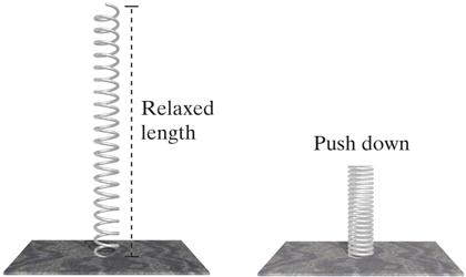 Solved A spring of stiffness 126 N/m, and with relaxed | Chegg.com