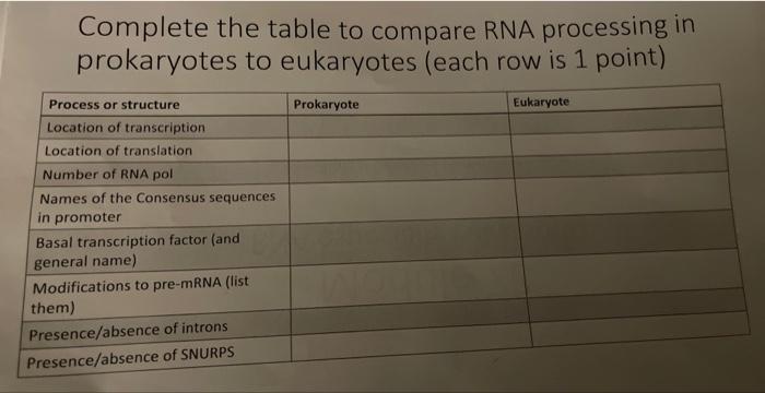 Solved Complete the table to compare RNA processing in | Chegg.com