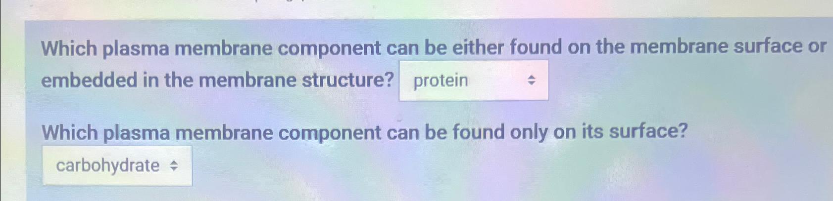 Solved Which plasma membrane component can be either found | Chegg.com