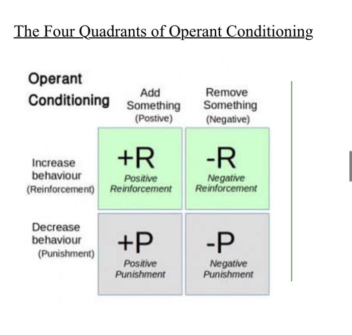 Solved Determine if it is an example of operant or classical | Chegg.com