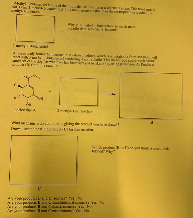 Solved 3-Methyl-1-butanethiol is one of the thiols that | Chegg.com