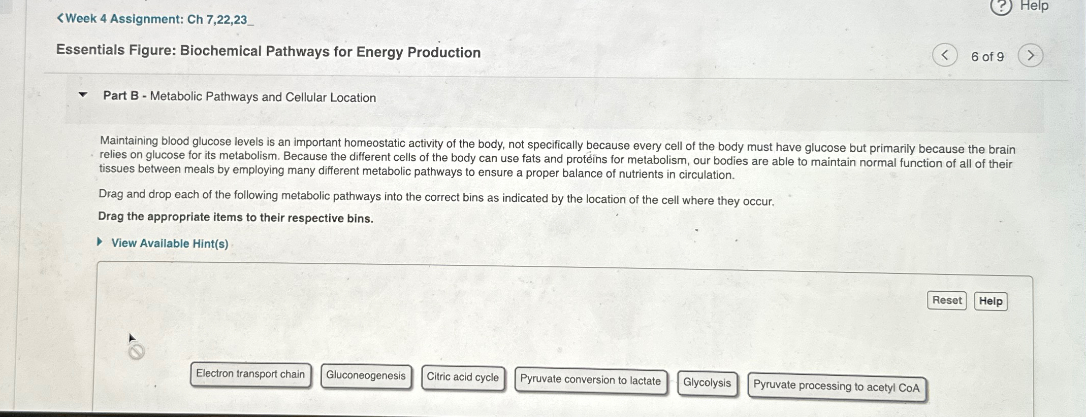 Solved Biochemical pathways for energy production | Chegg.com