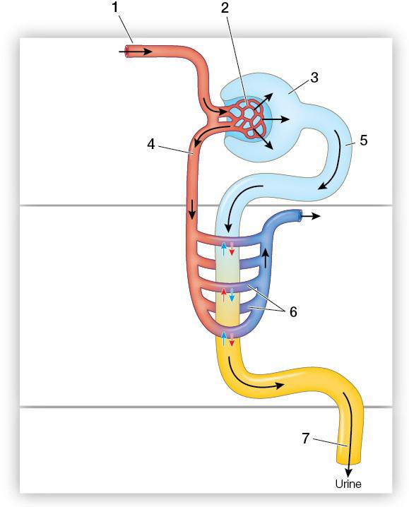 Solved Which of the following statements is true based on | Chegg.com