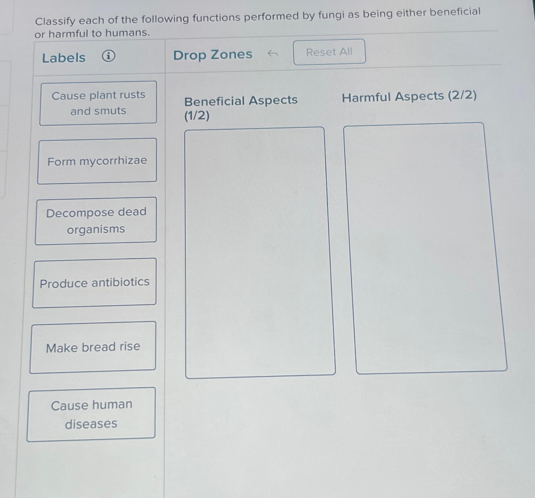 Solved Classify each of the following functions performed by | Chegg.com