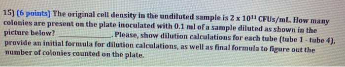 Solved 15) (6 points) The original cell density in the | Chegg.com