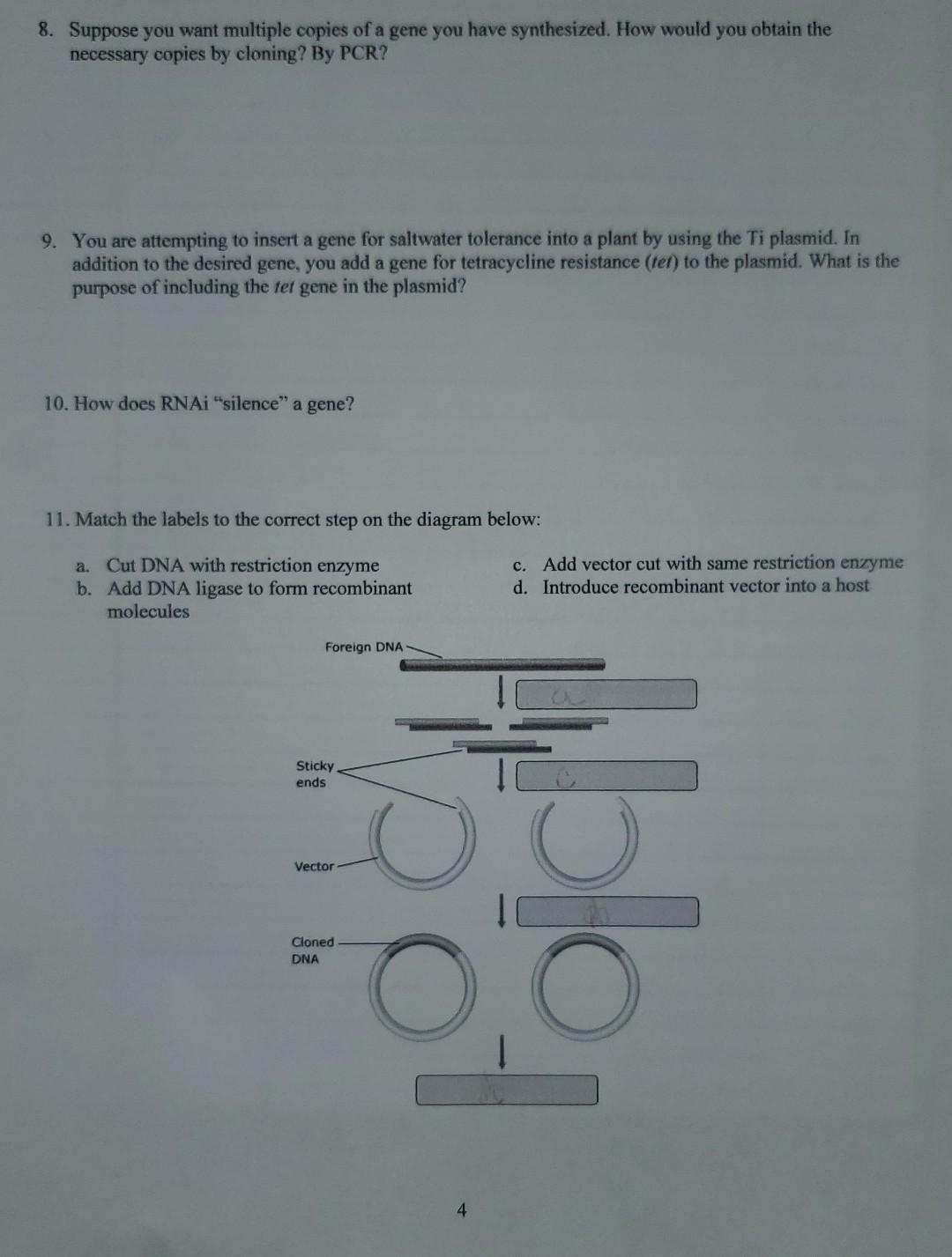 Solved 6. Define/compare and contrast the following terms: | Chegg.com