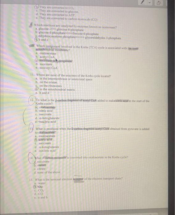 Solved Cell biology exam -- Please answer all questions so I | Chegg.com