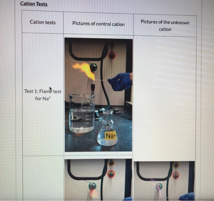 Solved Cation Tests Cation tests Pictures of control cation | Chegg.com