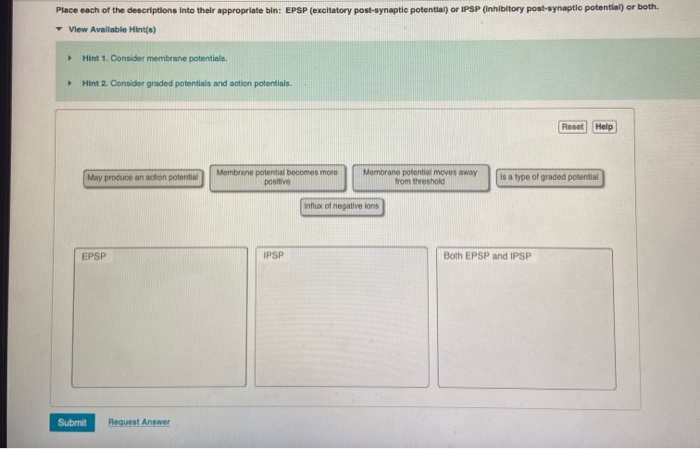 Solved Place each of the descriptions into their appropriate | Chegg.com Solved Place each of the descriptions into their appropriate | Chegg.com