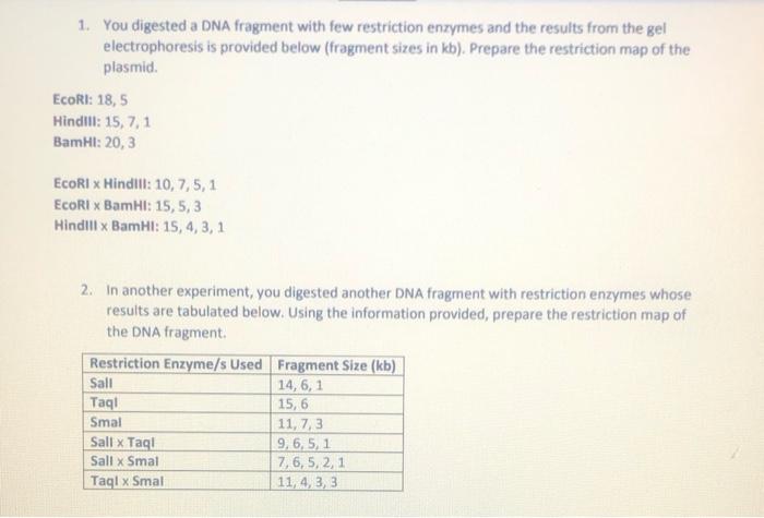 1. You digested a DNA fragment with few restriction | Chegg.com
