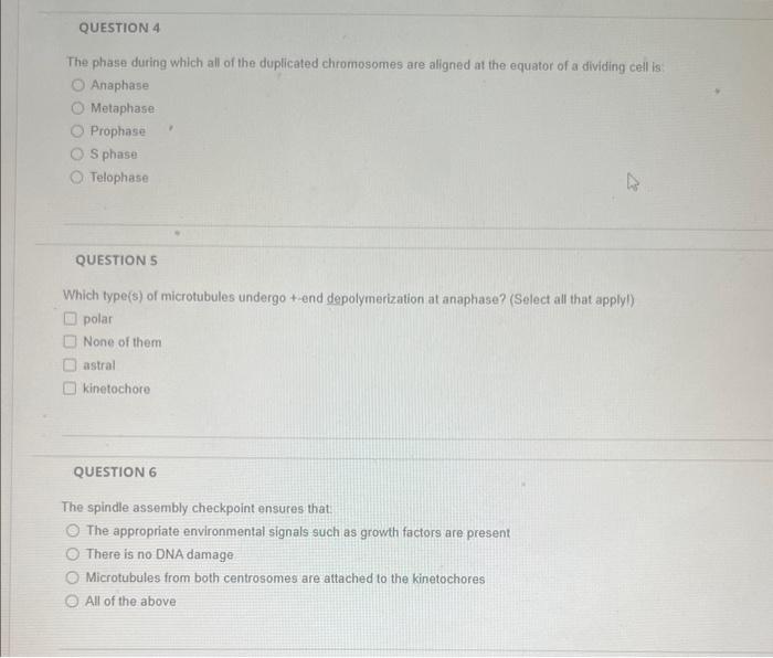 Solved The phase during which all of the duplicated | Chegg.com