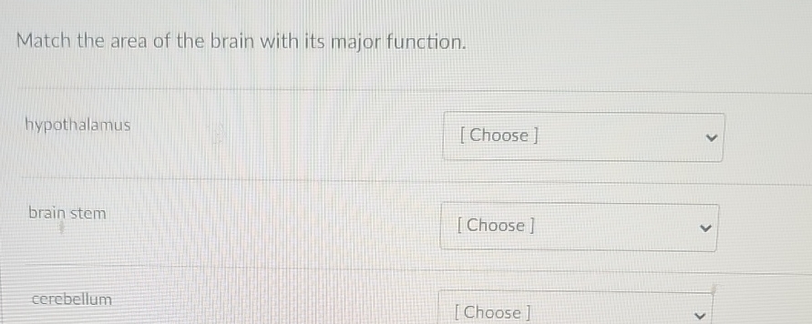 Solved Match the area of the brain with its major | Chegg.com