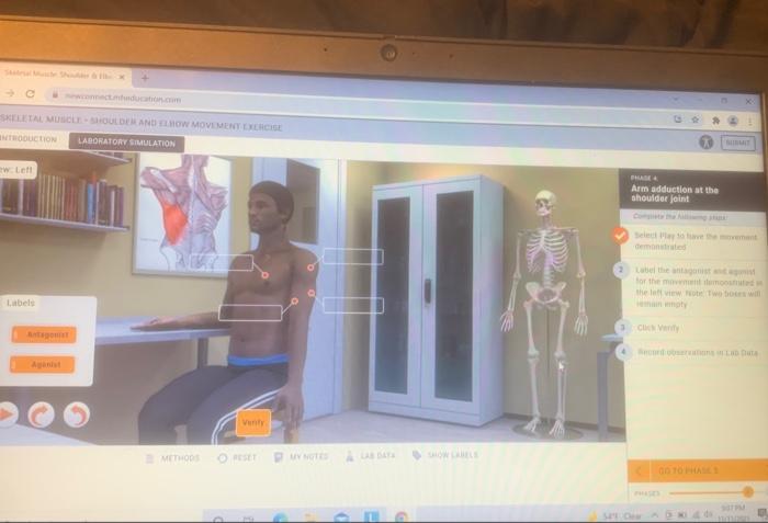 SKELETAL MUSCLE SHOULD AND HOW MOVEMENT DE | Chegg.com