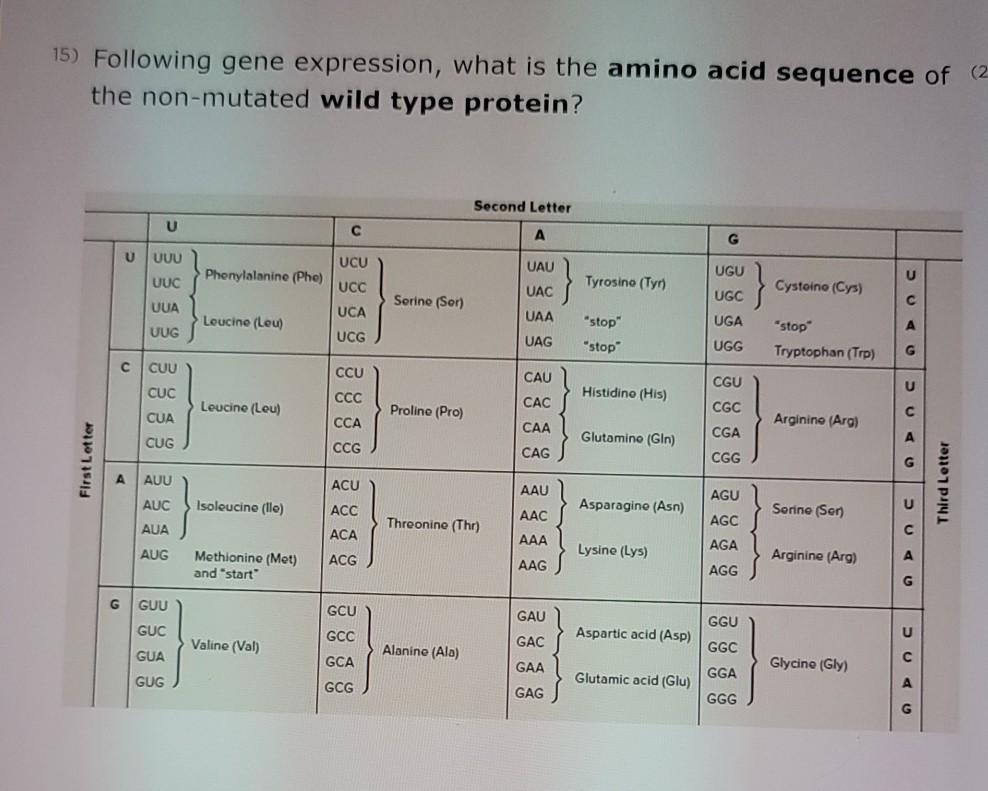 Solved Genetic Coding Problem Here is a very short gene that | Chegg.com