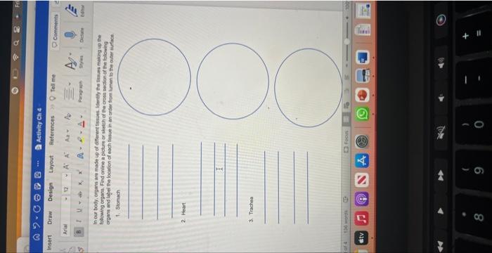 Lab Activity Chapter 4 Identify the tissues in the | Chegg.com