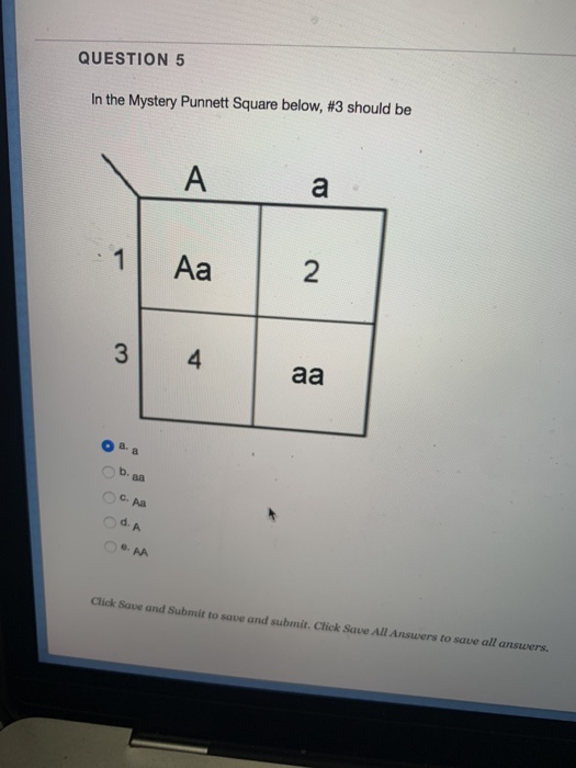 Solved QUESTION 5 In the Mystery Punnett Square below, #3 | Chegg.com
