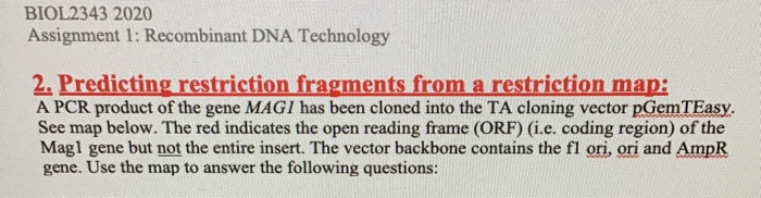 3. Sub-cloning strategy: Describe how you would | Chegg.com