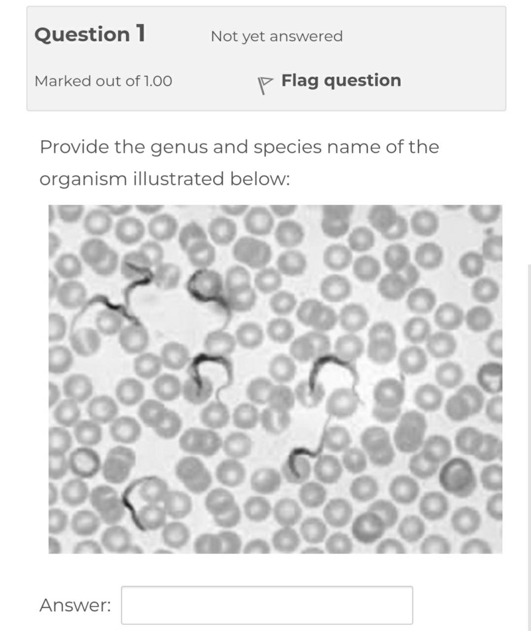 Solved Provide the genus and species name of the organism | Chegg.com