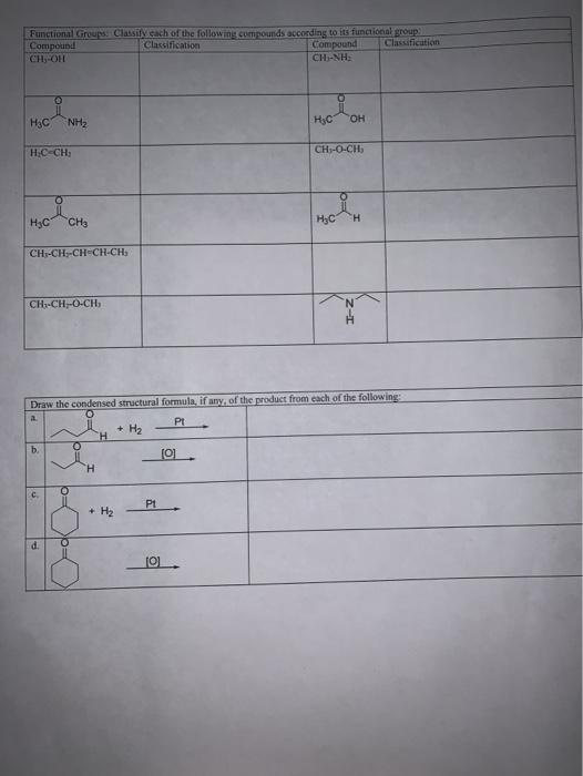 Solved Functional Groups Classily each of the following | Chegg.com