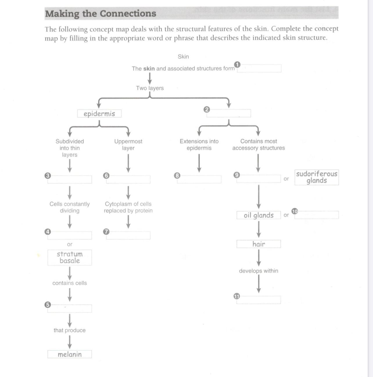 Solved Making the ConnectionsThe following concept map deals | Chegg.com