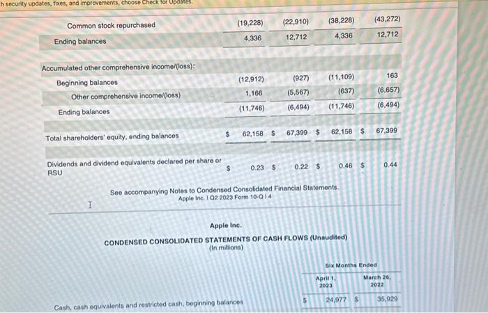 Apple inc. CONDENSED CONSOLIDATED BALANCE SHEETS | Chegg.com