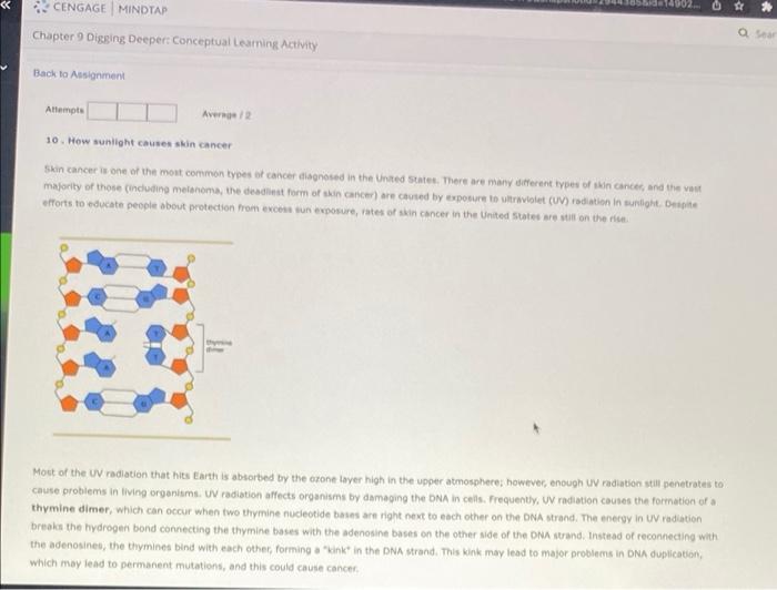 Solved CENGAGE MINDTAP Chapter 9 Digging Deeper: Conceptual | Chegg.com