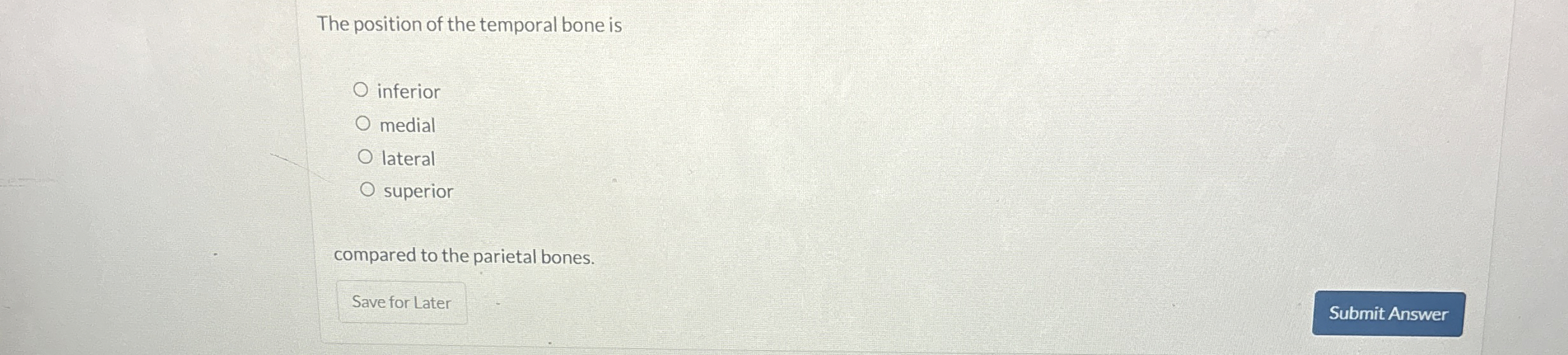 Solved The position of the temporal bone | Chegg.com