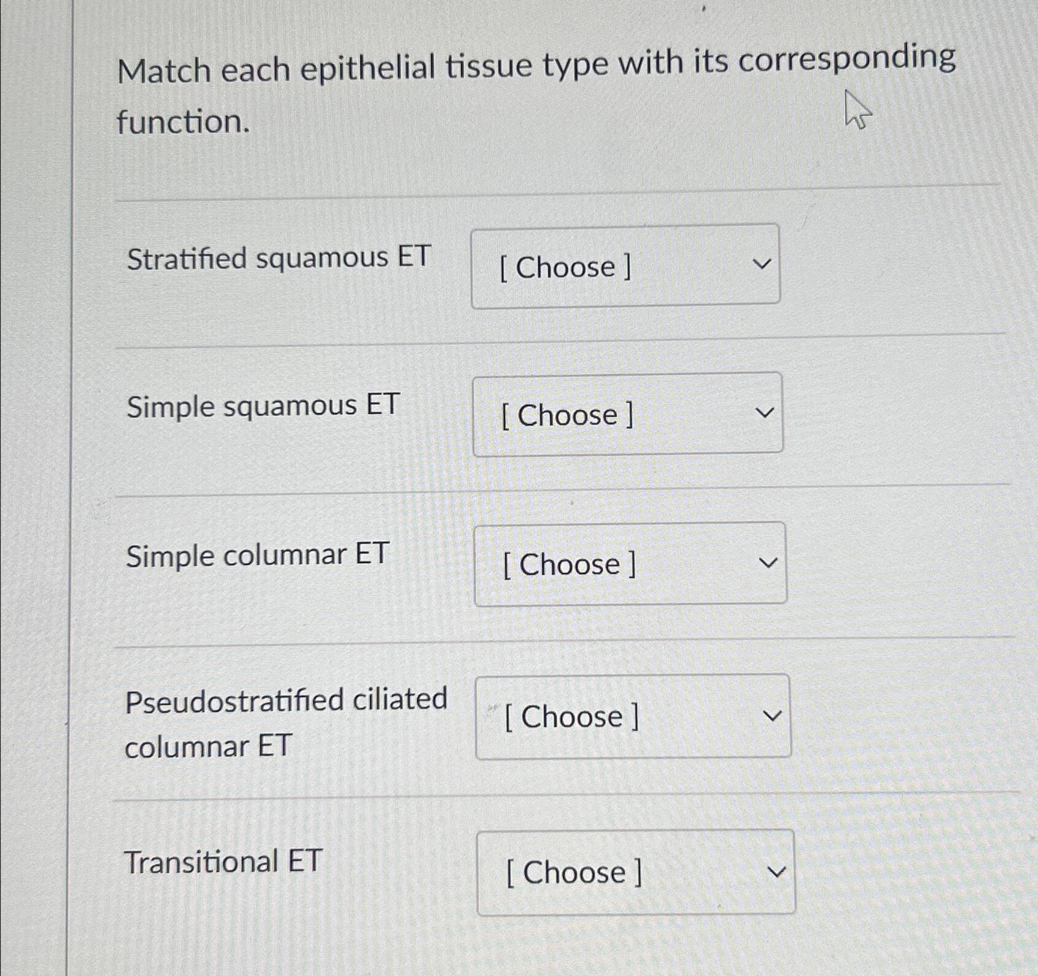 Solved Match each epithelial tissue type with its | Chegg.com