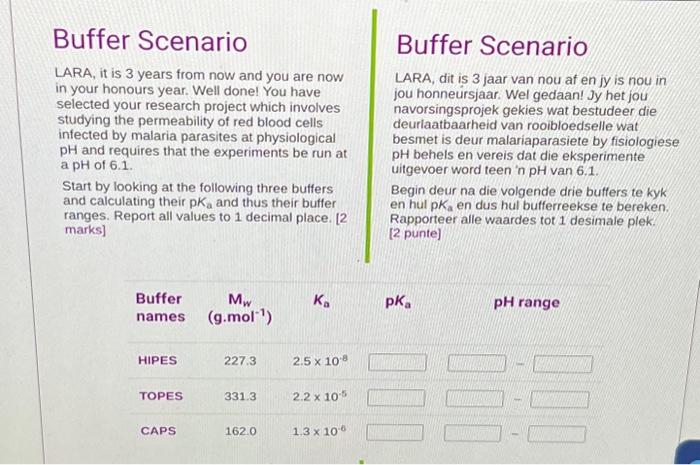Solved Buffer Scenario LARA, it is 3 years from now and you | Chegg.com