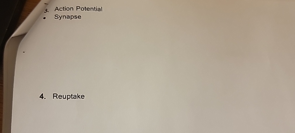 Solved Action PotentialSynapseReuptake | Chegg.com
